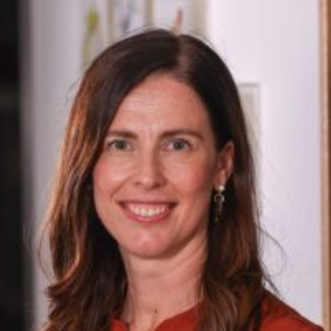 'Meet the Experts' VAD Securement - GloVANet